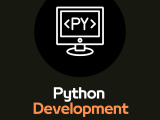 Expert Python Development Services Associative