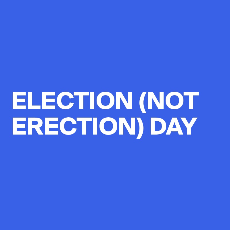 Election Not Erection Day Post By Petegutz2 On Boldomatic