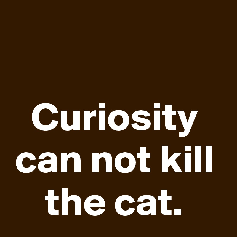 Curiosity Can Not Kill The Cat Post By Schnudelhupf On Boldomatic
