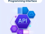 What Is Application Programming Interface Botpenguin
