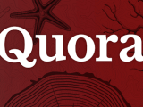 Quora For Pc How To Install On Windows Pc Mac