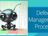 Defect Management Process Guide For Software Testing In 2025