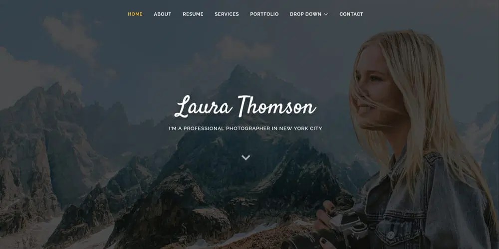 Free Bootstrap Portfolio Templates Css Author