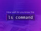 The Ls Command