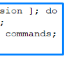 About A Bash Until Loop Diskinternals