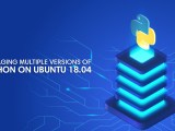 Multiple Python Versions Linux