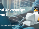 Is Java And Javascript The Same Understanding The Difference