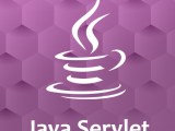 Servlet Codebrideplus
