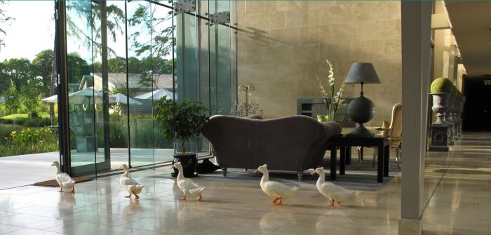 Ireland’s Monart Destination Spa: Chilling Out In One of the World’s ...