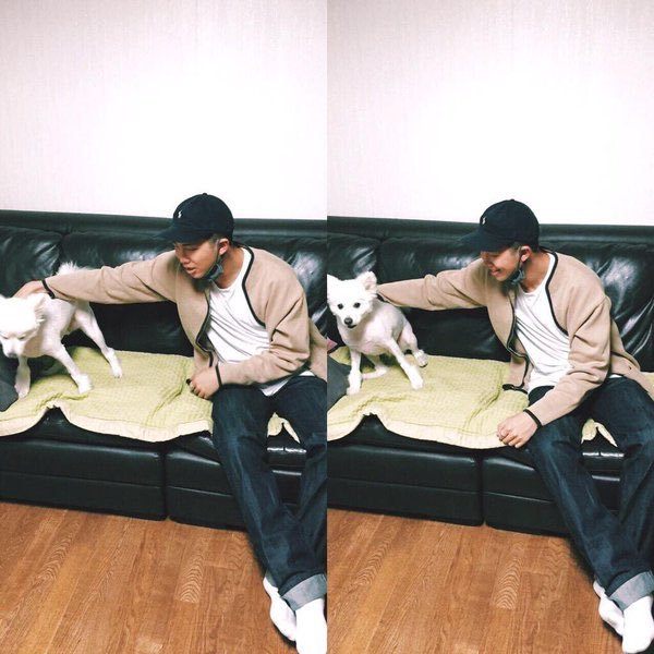 Ecco a voi Rapmon, il cucciolo di Rap Monster dei BTS – BTS Italia