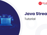 Java Stream Tutorial For Beginners