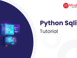 Python Sqlite Tutorial Python Sqlite Data Types