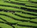 Refactoring Legacy Code With Java 8