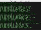 How To Start A Simple Web Server In Python 3 On Mac