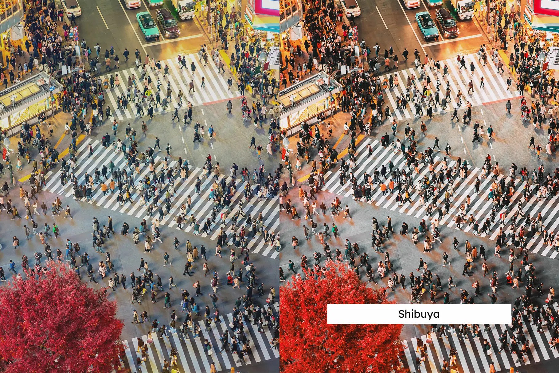 8 Free Tokyo Lightroom Presets And Luts Photoshop Tutorials