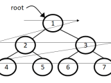 Binary Tree Traversals Procoding
