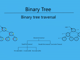 Binary Tree Traversals Procoding