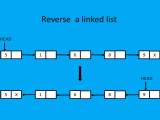 Program To Reverse A Linked List Procoding