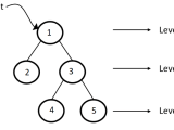 Introduction To Trees Procoding