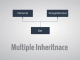 Multiple Inheritance Program In C Sharp Fasrsend