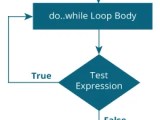 C While And Do While Loop