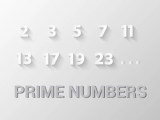 C Program To Display Prime Numbers Between Intervals Using Function