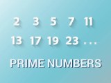 C Program To Display Prime Numbers Between Two Intervals