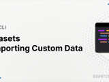Custom Data Quantconnect
