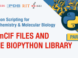 Pdb 101 Python Scripting For Biochemistry Molecular Biology Part 2