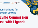 Pdb 101 Python Scripting For Molecular Docking Part 3