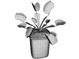 Venus Flytrap 3d Model By Blenduffo