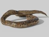 Python Snake 3d Model By Sathak