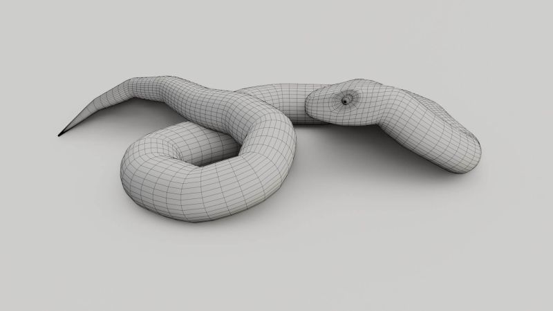 Python Snake 3d Model By Sathak - Gorgeous Sunset Wallpaper - Ultra HD