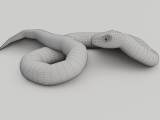 Python Snake 3d Model By Sathak