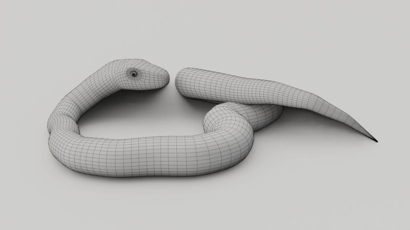 Python Snake 3d Model By Sathak - Best Nature Textures in High Resolution