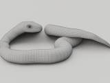 Python Snake 3d Model By Sathak