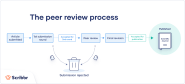 What Is Peer Review Types Examples 2022 What Is Peer Review Types Examples 2022