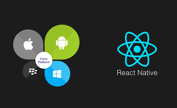 How To Become A React Native Developer Expert S Guide