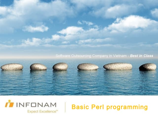 Basic Perl Programming Ppt