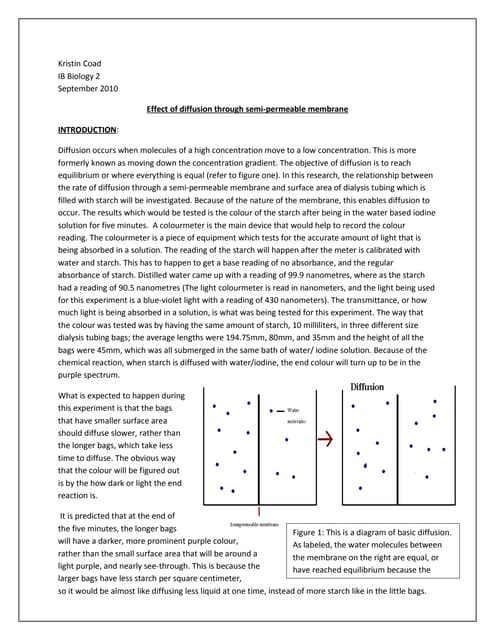Diffusion Lab Report Pdf