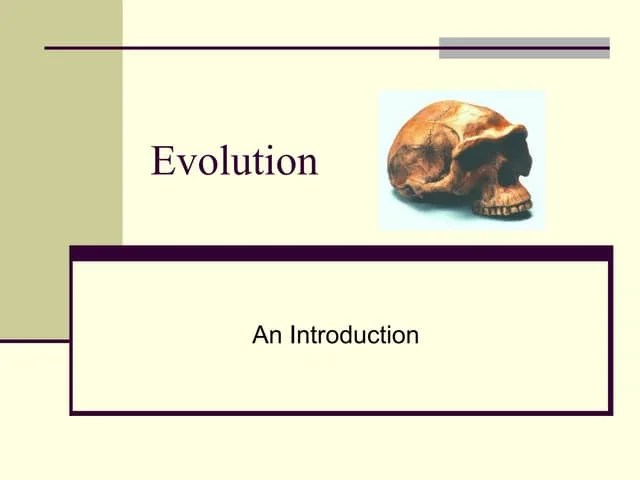 Evolution Class Xii Biology Based On Ncert Text Book Pptx Genetics
