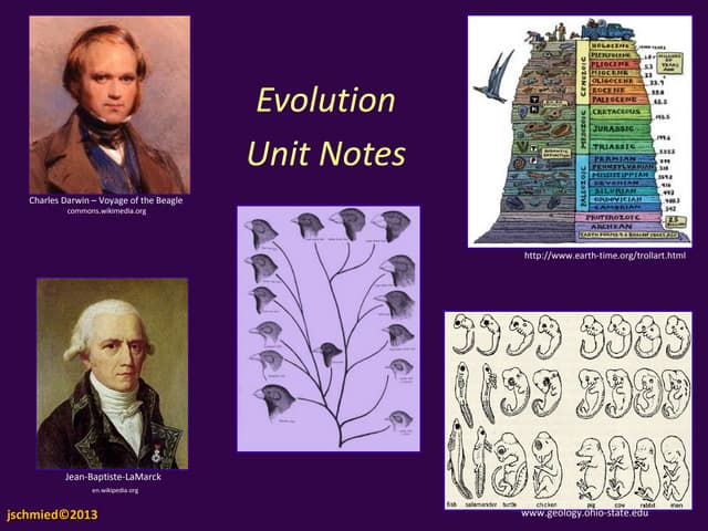 Evolution Unit Notes Pptx Geology Science