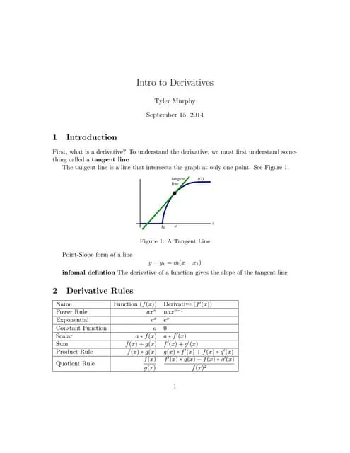 The Derivative Ppt