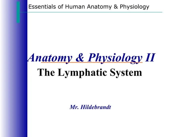 Lymphatic System Anatomy And Physiology Ppt