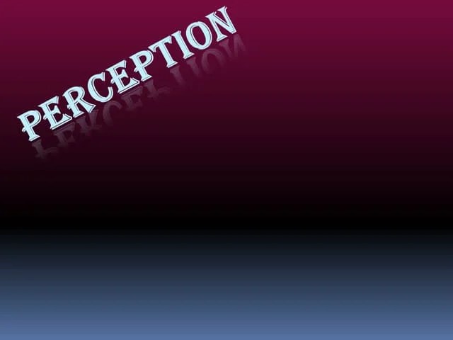 Perception Meaning Definition Stages Factors Pptx