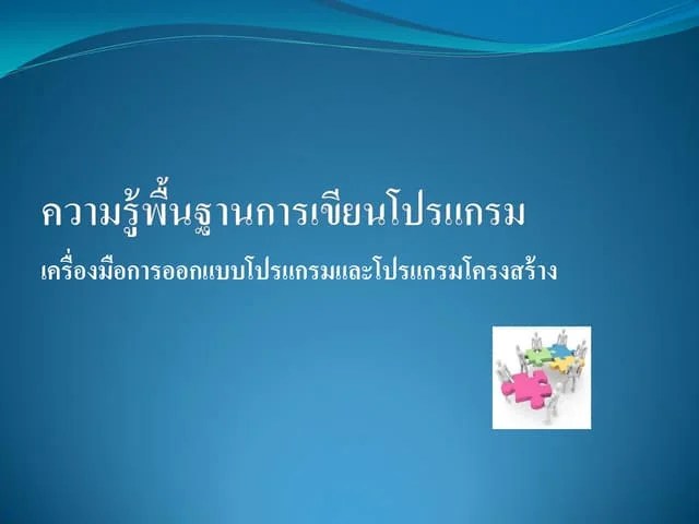 Program Structure Pdf