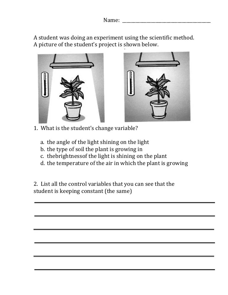 Experimental Variables Worksheet Key Variables Exercise Pic experimental-variables-worksheet-key-variables-exercise-pic