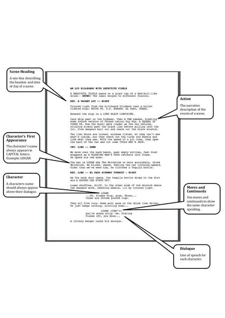 Script Annotaions Pdf