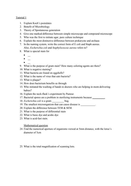 Tutorial 1 Docx