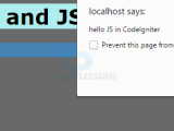 Codeigniter Adding Js And Css Splessons